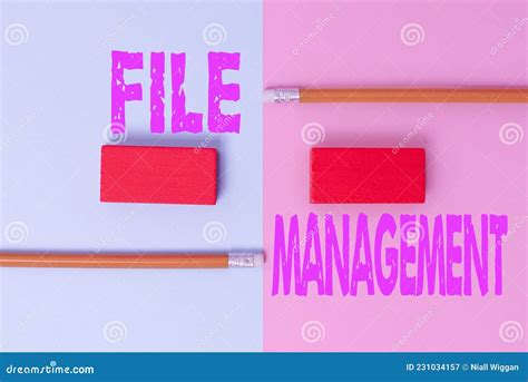 Writing Displaying Text File Management Business Idea Computer Program