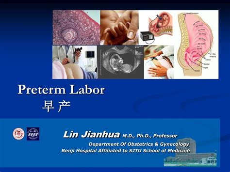 Ppt Preterm Labor 早 产 Powerpoint Presentation Free Download Id1748792 Ppt Preterm Labor 早 产 Powerpoint Presentation Free Download Id1748792