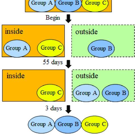 Experimental Design Scheme Download Scientific Diagram