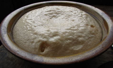 Bread Ingredients And Proofing Yeast