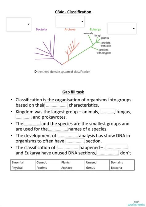 Cb4c Classification Domains Interactive Worksheet Topworksheets