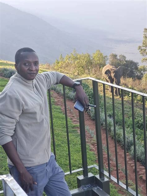 Tanzania Big Elephat Melia Ngorongoro Lodge Nice View Nice Ngorongoro Crater Eng Julius