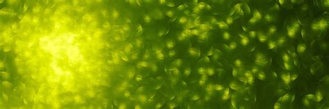 Esg Data Collection Beginning Steps And Best Practices Techtarget