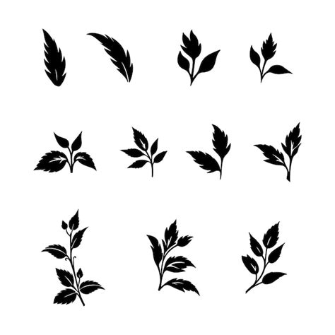 premium vector vector leave collection isolated on white background