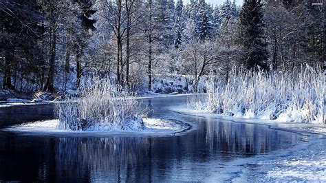 100 4k 16 9 Winter Wallpapers