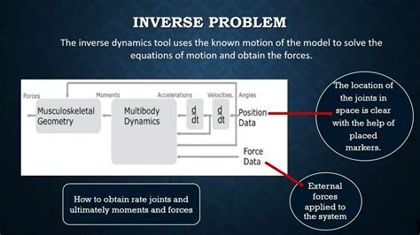 Inverse Dynamic Analysis Of Exoskeletons Using Experimental Data And Opensim Youtube