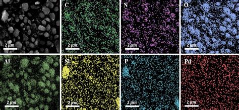 Elemental Mapping Analysis Of Pdb Cp Him Download Scientific Diagram