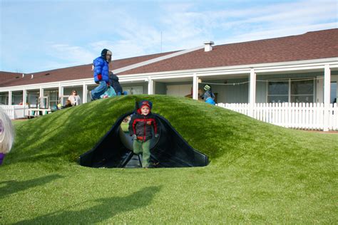 Playmounds™ Playground Grass By Foreverlawn