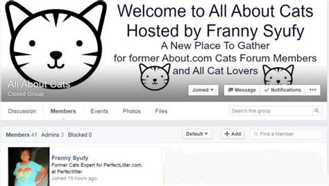 8 Things Your Cat Loves Cat Forum All About Cats Cats