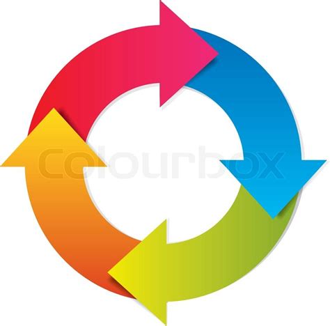 Vector Colorful Life Cycle Stock Vector Colourbox
