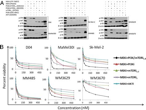 Rat Sarcoma Semantic Scholar