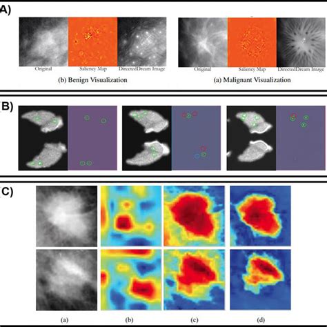 Backpropagation Based Approaches To Model Interpretation Include A