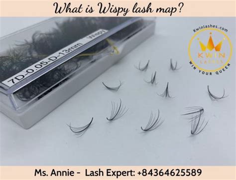 Your Guide To The Amazing Wispy Lash Map Kwin Lashes