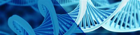 what is enhancer hijacking and how can i detect it dovetail genomics