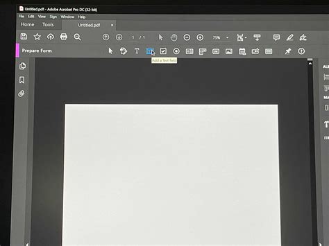 Solved Pdf With Fillable Form Show Invisible Text Adobe Product