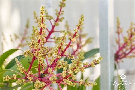 Angles Curves In Nature Photography