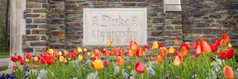 About Diss2024 Duke Department Of Biostatistics And Bioinformatics