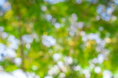 Blur Of Green Natural Tree In Park Background 24858045 Stock Photo At Vecteezy