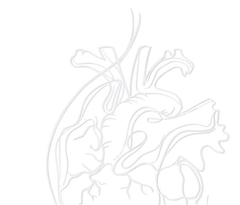 Vascular Disorders Cedars Sinai Pulse