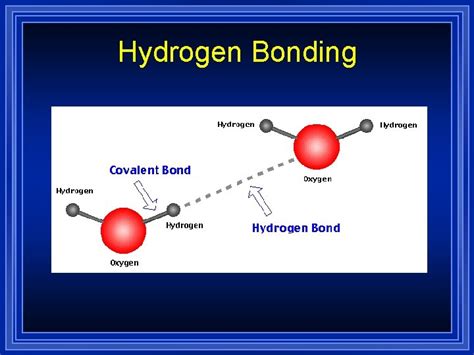 What Is Hydrogen Fixation At Michelle Peckham Blog