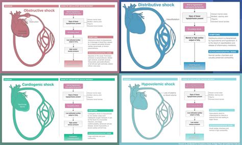 Pathophysiology Of Shock Flow Chart Diabetes Mellitus Pathophysiology