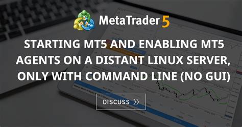 Starting Mt5 And Enabling Mt5 Agents On A Distant Linux Server Only