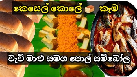 වැව් මාළු සමග පොල් සම්බෝල Youtube