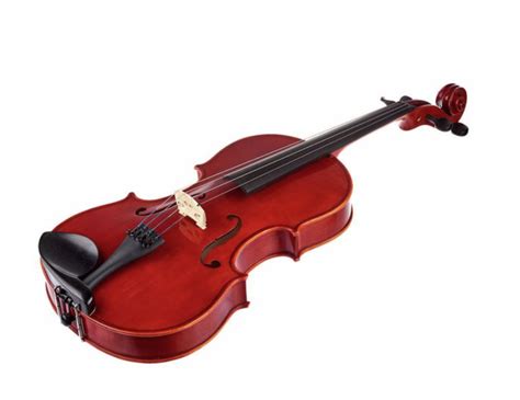 Die Bratsche 15 Interessante Fakten Die Sie Kennen Sollten