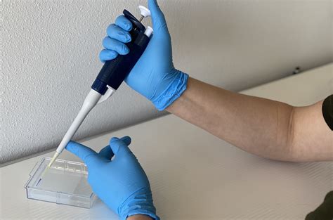 How To Load A Gel For Electrophoresis MiniPCR Bio