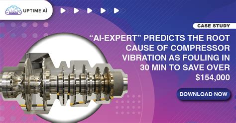 Ai Expert Identifies Compressor Vibration Cause In 30 Min Uptimeai