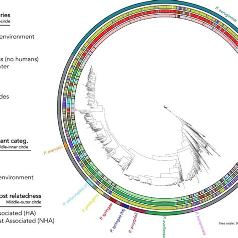 Pseudomonas Genomes Sharing Similar Habitats Have Functional Download Scientific Diagram