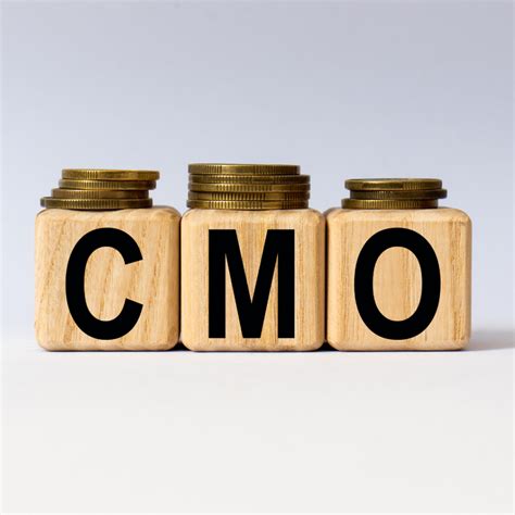 Why Your Business Needs A Fractional Cmo Maximizing Roi And Growth