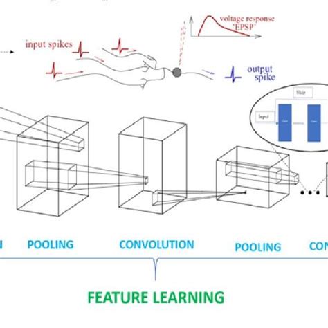 Proposed Object Detection Architecture Download Scientific Diagram