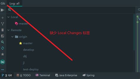 IDEA Git面板不显示Local Changes标签 寒爵 博客园