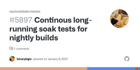 Continous Long Running Soak Tests For Nightly Builds · Issue 5897