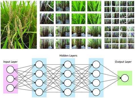 Deep Learning Architecture Download Scientific Diagram