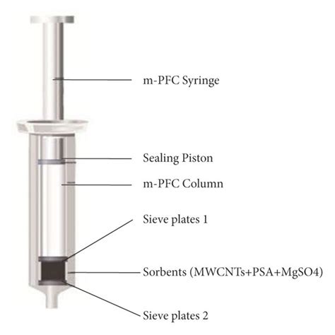 Structure Diagram Of M Pfc Column Download Scientific Diagram