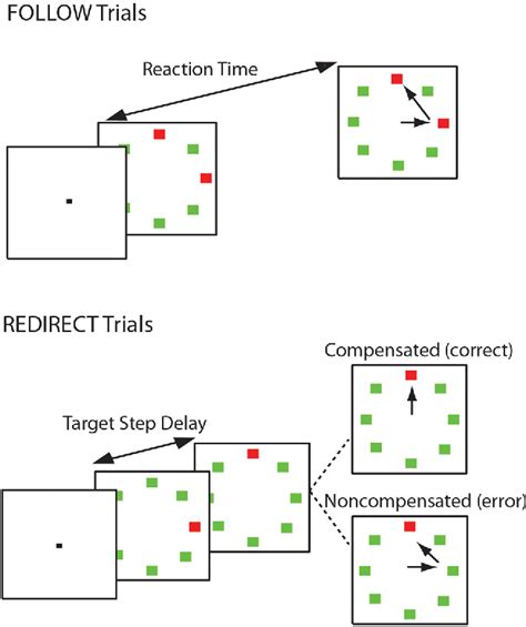 Figure 1 From Frontal Subcortical Circuits Involved In Reactive Control And Monitoring Of Gaze