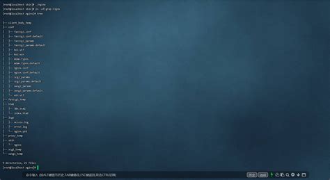 一篇文章带你了解轻量级Web服务器Nginx简单入门 腾讯云开发者社区 腾讯云