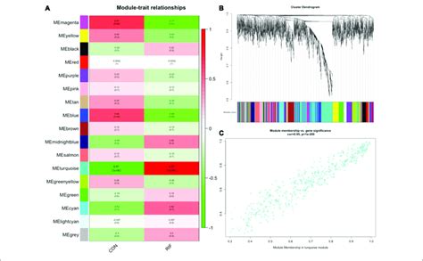 Weighted Gene Correlation Network Analysis A The Relationships Download Scientific Diagram