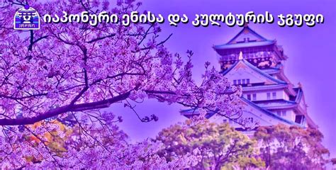 იაპონური ენა და კულტურა ინჰუას აკადემიაში 🌐 Yinghuaacademy Ge