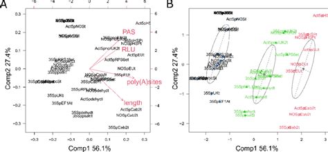 Principal Component Analysis Of Rlu Values And Terminator Attributes A Download Scientific