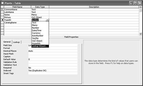 using the lookup wizard absolute beginners guide to microsoft office