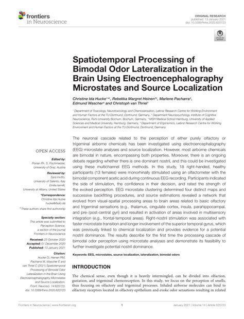 Pdf Spatiotemporal Processing Of Bimodal Odor Lateralization In The Brain Using
