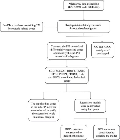 workflow of data preparation processing analysis and validation