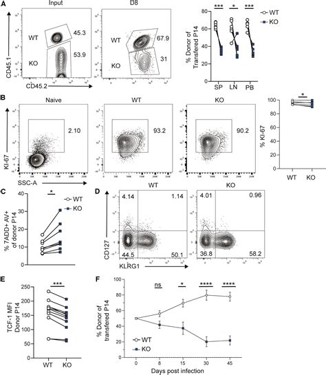 Er Associated Degradation Adapter Sel1l Is Required For Cd8 T Cell Function And Memory
