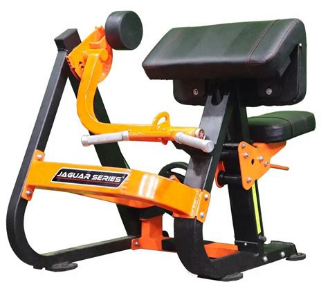 Bicep Curl Machine For Gym At ₹ 45000 Piece In Cuttack Id 24681454433