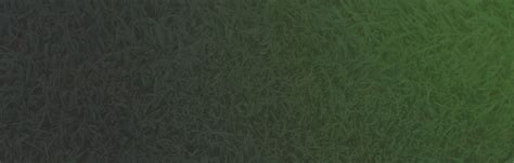Grass Header Background Phillips Landscapes