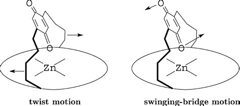 Schematic Sketch Of Two Relevant Large Scale Vibrational Motions The